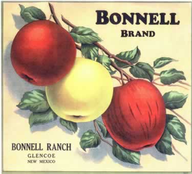 Bunnell, Family History, Genealogy