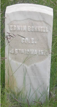 Bunnell, Family History, Genealogy